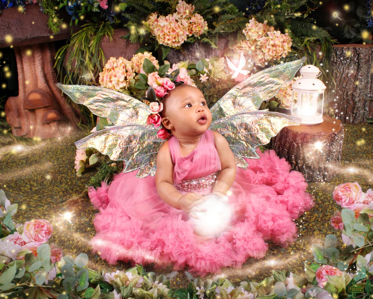 Enchanted Fairies Portrait Studio For Kids Serving Seattle, WA ...