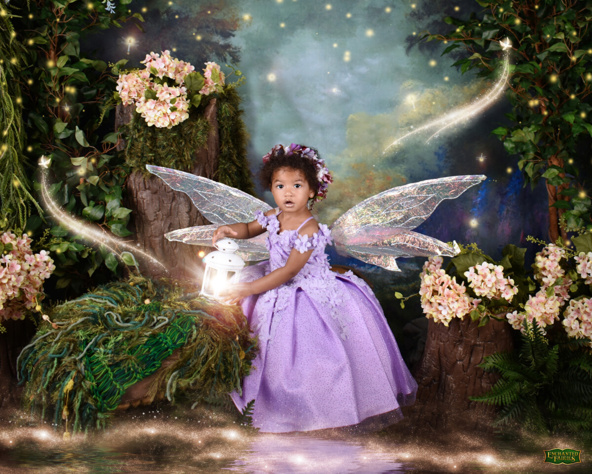 Rochester, NY Portrait Studio For Kids! | Enchanted Fairies Fairy ...