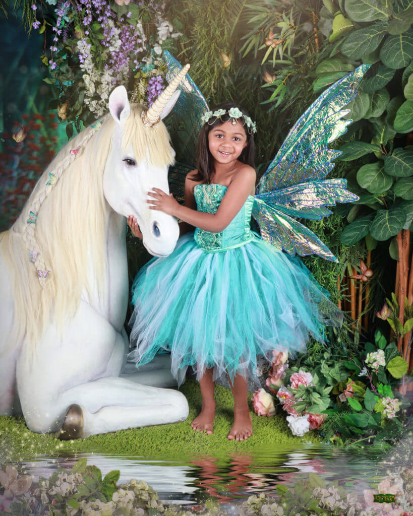 unicorns | Enchanted Fairies Fairy Photoshoot